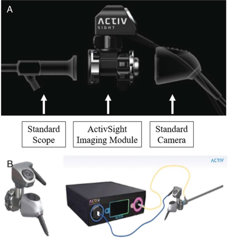 Laser speckle contrast imaging compared with indocyanine green in renal ...